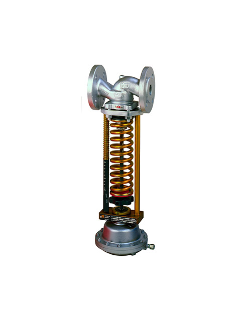 Adolphus Tecnología y experiencia